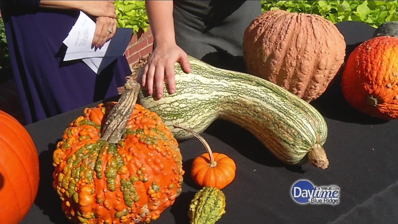 Pumpkin Varieties pumpkin-varieties